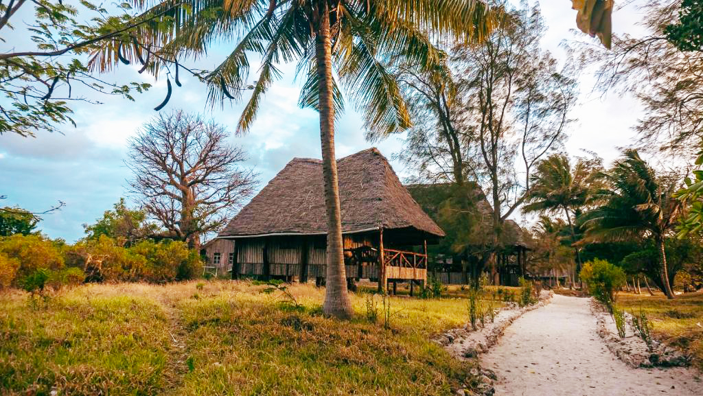 Тур на отдых в отеле Pemba Eco Lodge 3* в Занзибар, Танзания, цены на ...