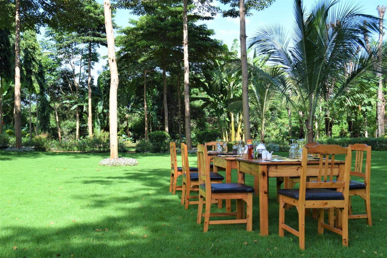 Тур на отдых в отеле Chanya Lodge 4* в Танзания, , цены на путевки ...